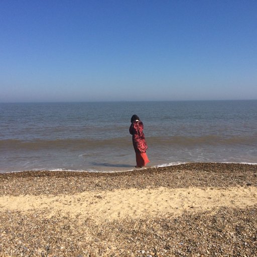 ‎slatternly’s profile • Letterboxd