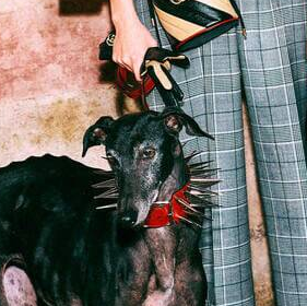 ‎SNIFFLER Sniff’s profile • Letterboxd