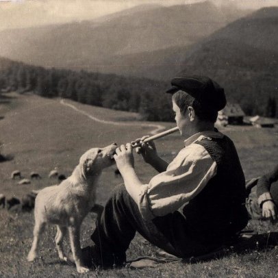 ‎Sean Harmer’s profile • Letterboxd