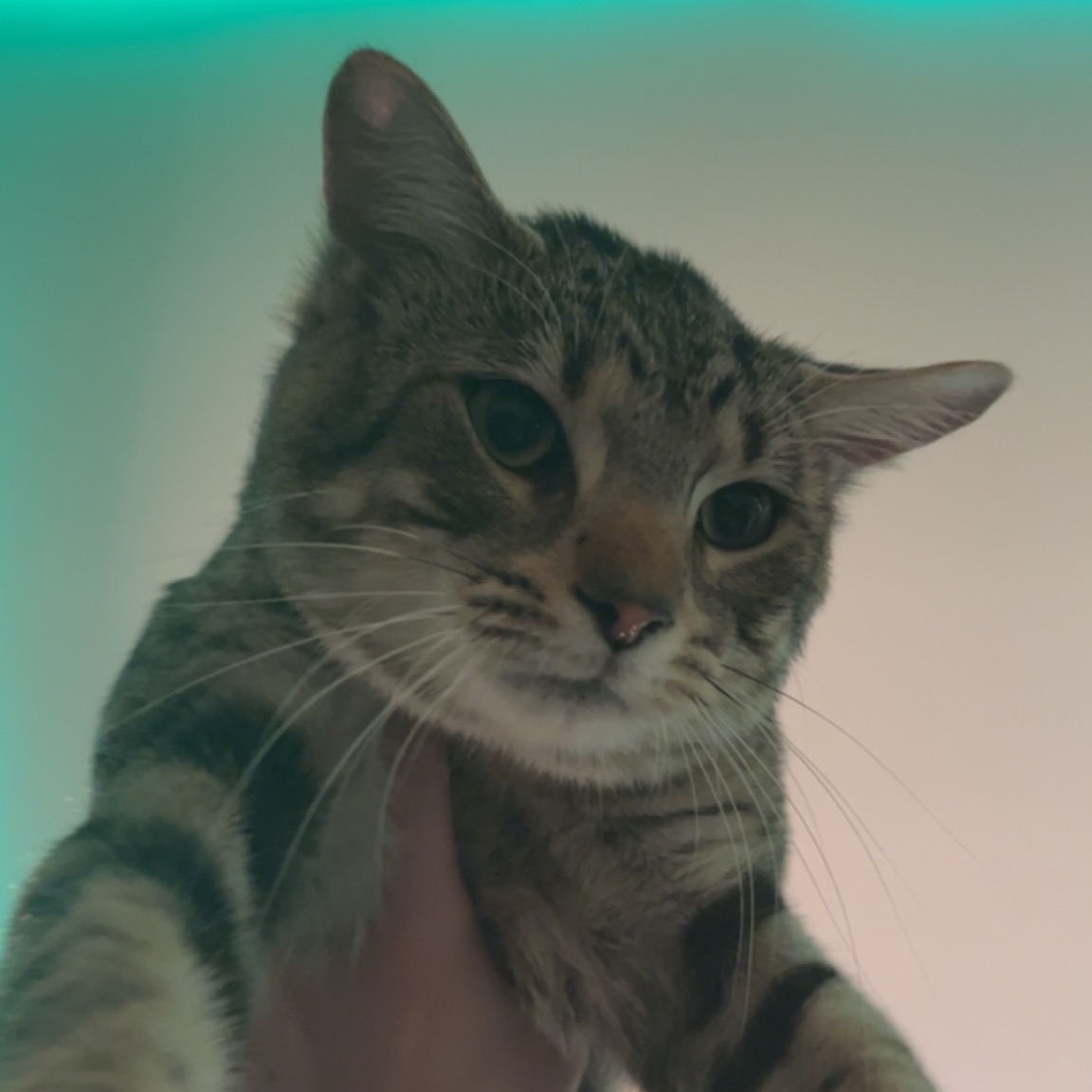 ‎paskel’s profile • Letterboxd