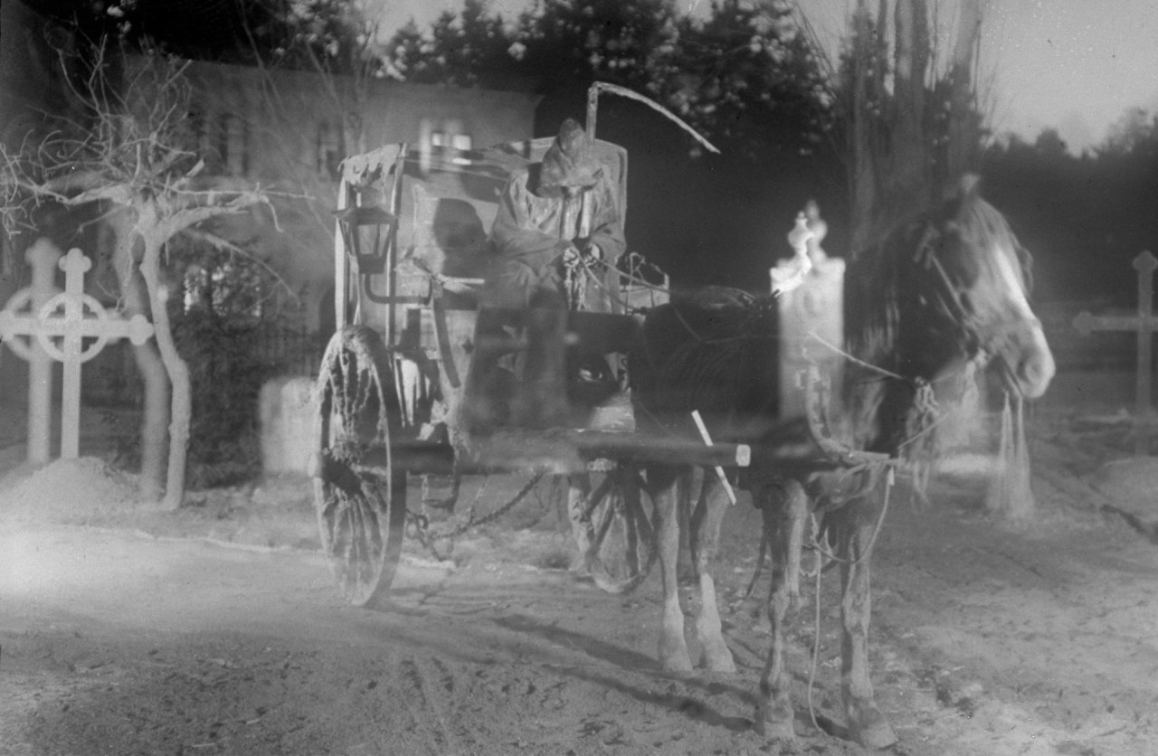 ‎Letterboxd’s Top 25 Horror Films • Journal • A Letterboxd Magazine ...