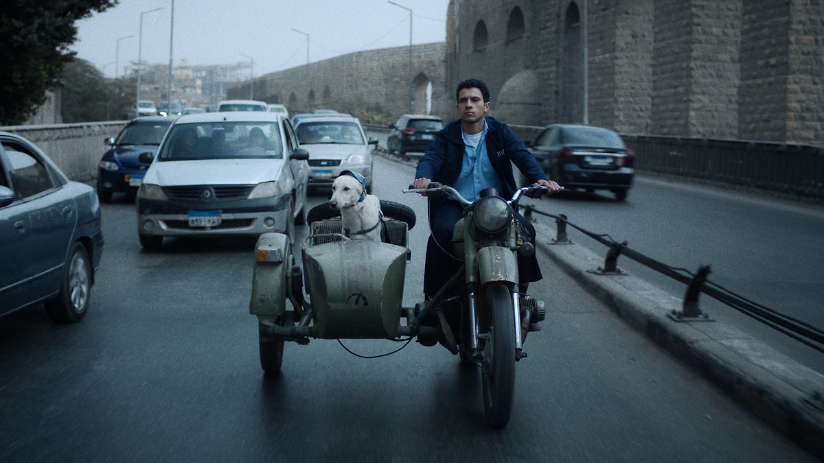 Seeking Haven for Mr. Rambo’ review by ‮چُ‬ • Letterboxd