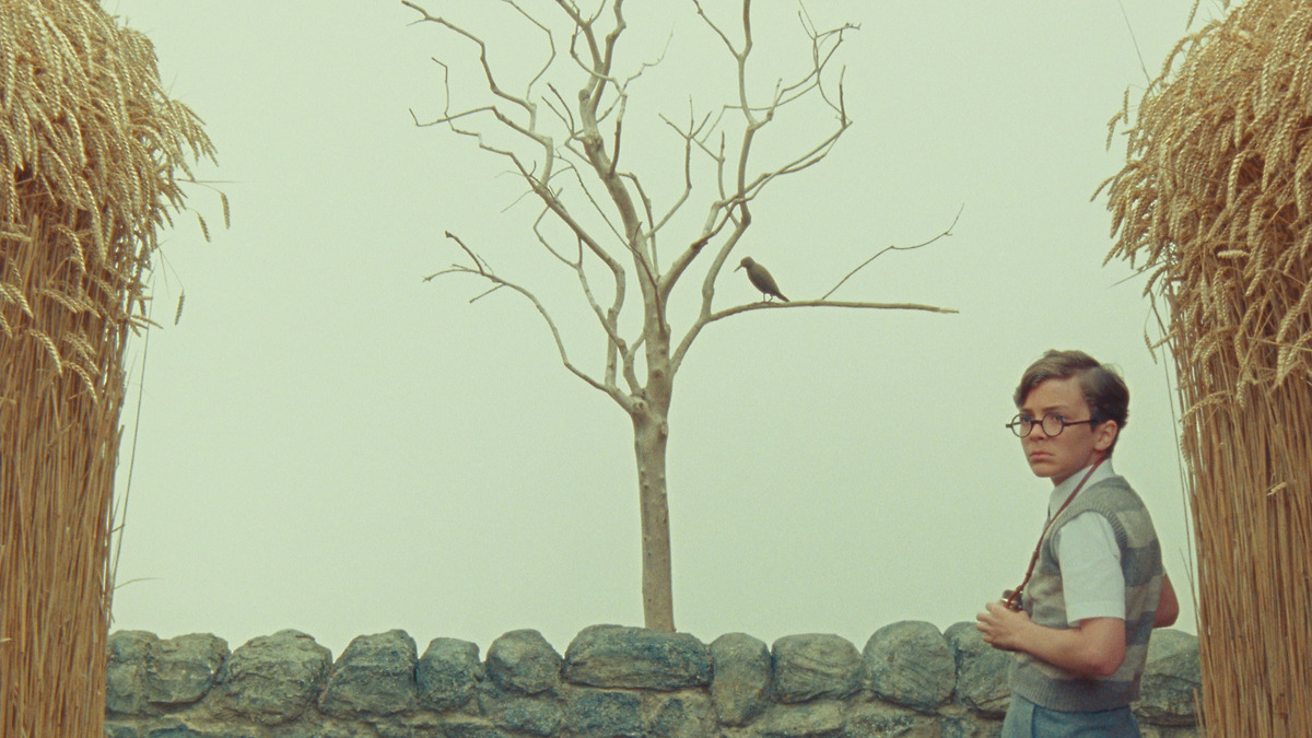 The Swan’ review by Porter • Letterboxd