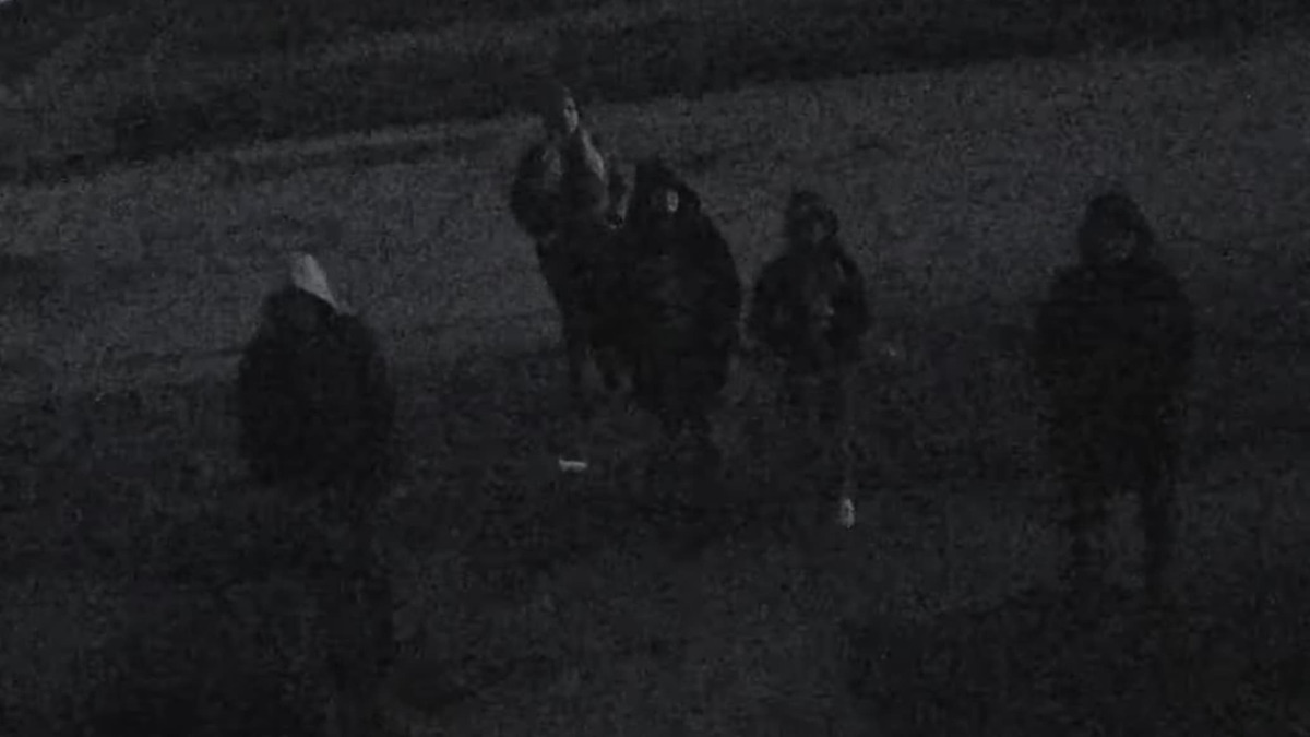 ‎controversial supercut, a list of films by jacob • Letterboxd