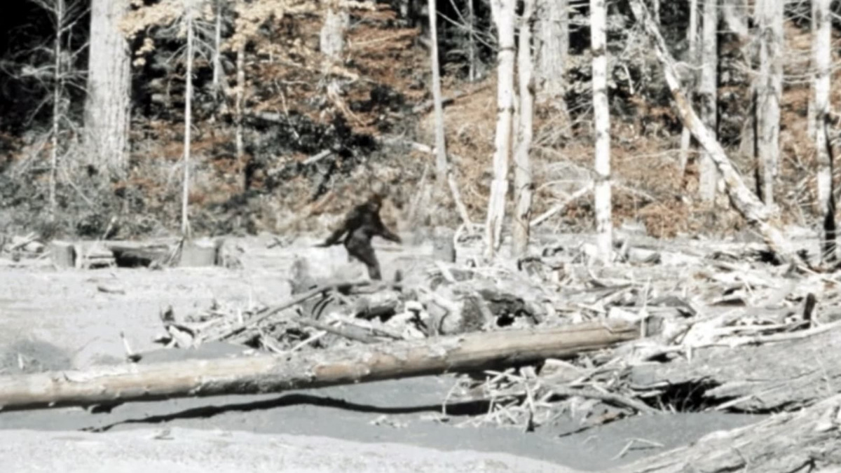 Patterson–Gimlin film’ review by Noah Cassidy • Letterboxd