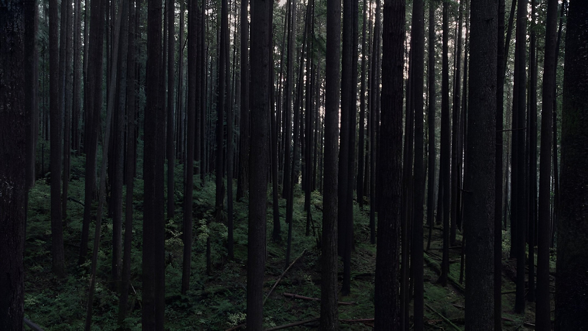 Keeper’ watched by Braydenh42 • Letterboxd