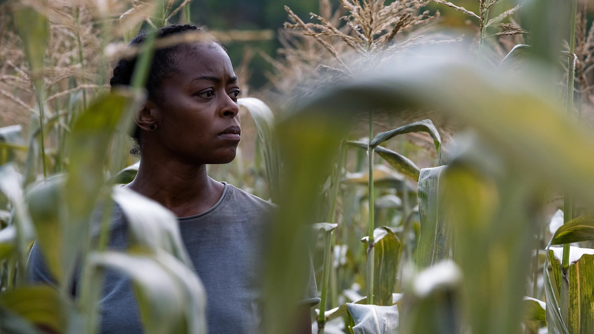 ‎40 Acres (2024) directed by R.T. Thorne • Reviews, film + cast ...