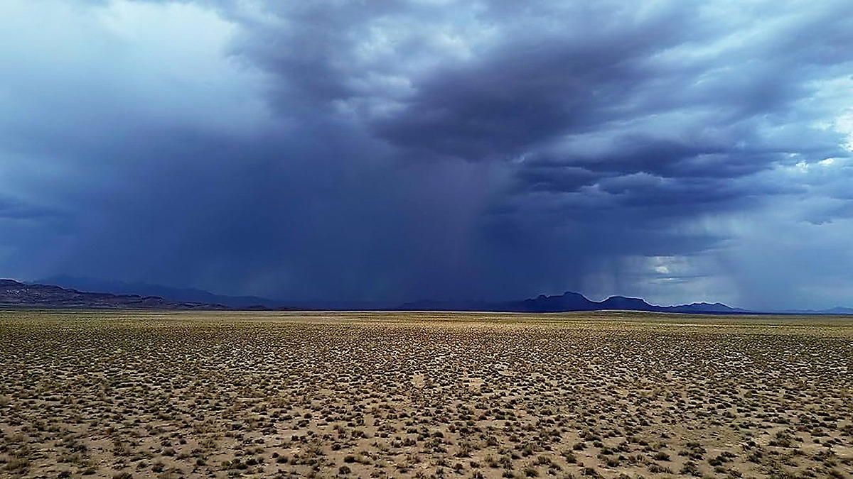 Horror in the High Desert 4: Majesty’ review by haley • Letterboxd
