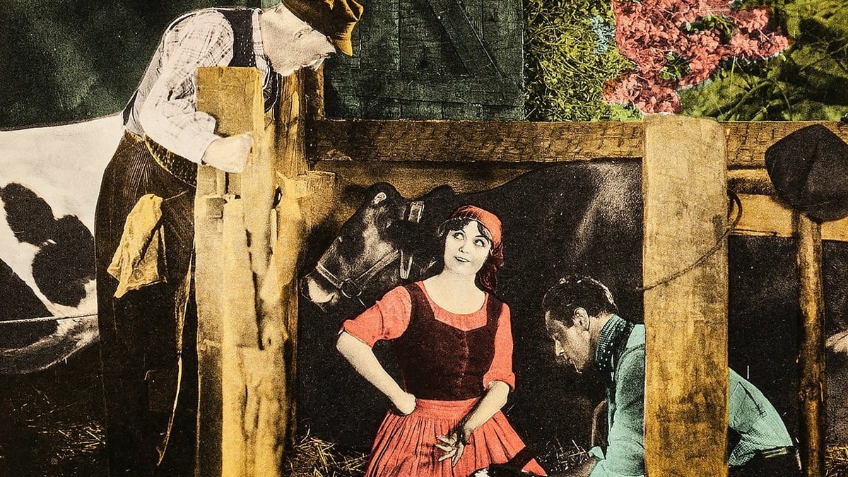 Barbed Wire’ review by Karina Oliveira • Letterboxd