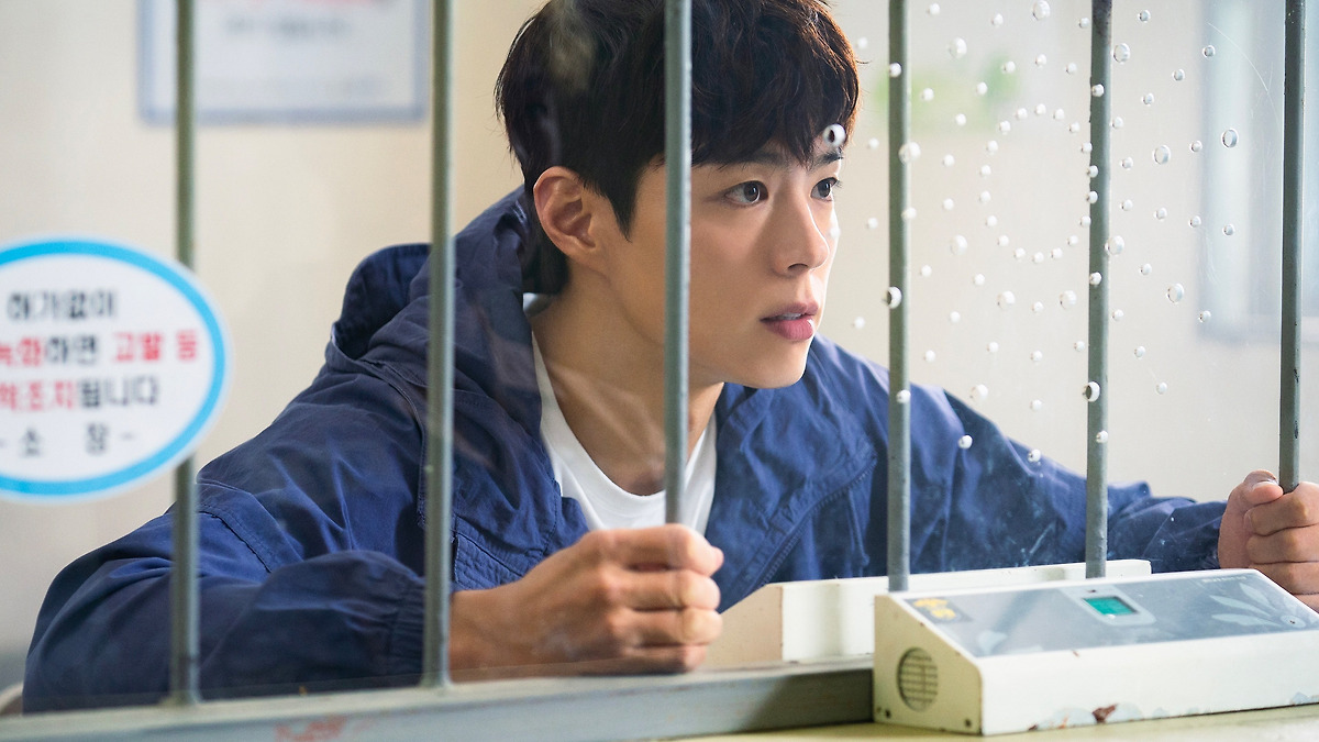 Good Boy’ review by selinabla • Letterboxd