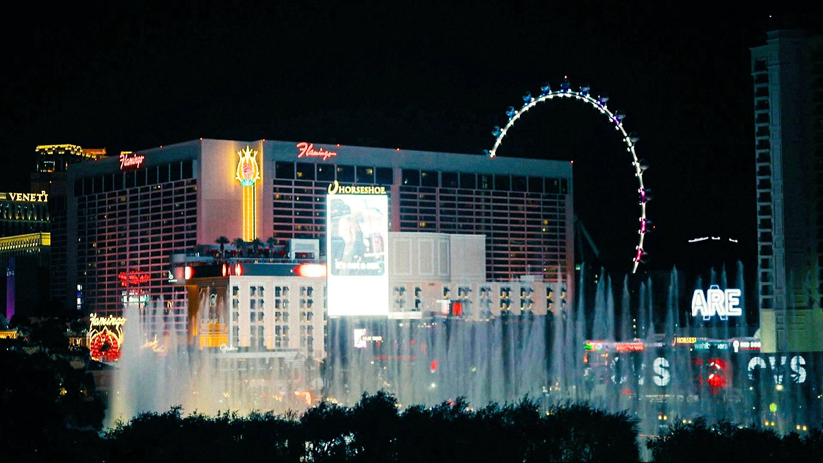 1000 Men and Me: The Bonnie Blue Story’ review by Thor Odinson • Letterboxd