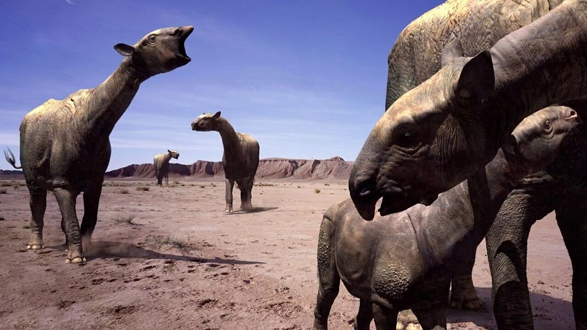 ‎First to Worst: Documentary, a list of films by BurntSpaceToast ...