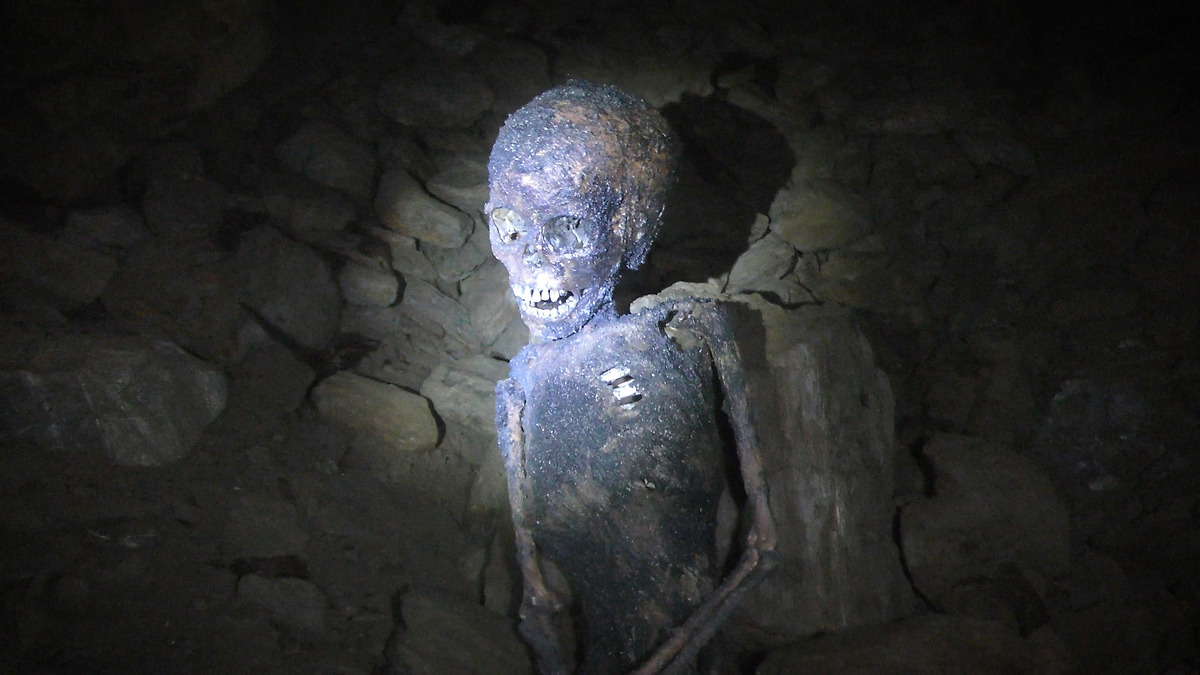 ‎2026 Ranked, a list of films by Ryan Preston • Letterboxd