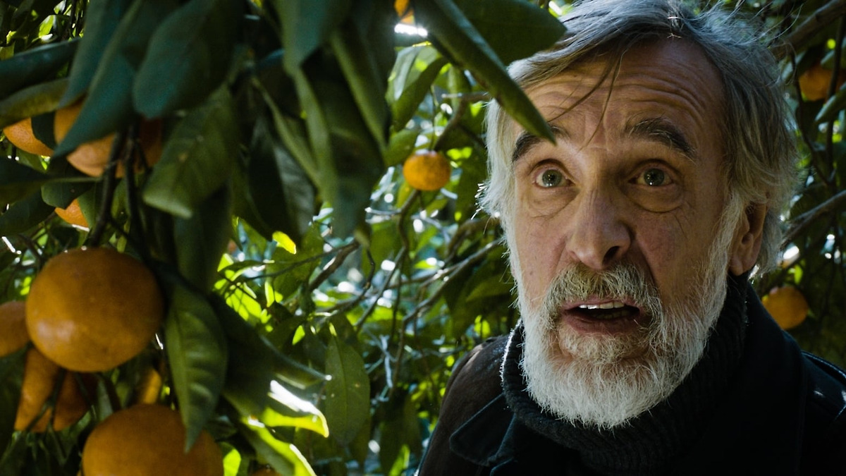 ‎Top 50 Estonian Films, a list of films by Official Lists • Letterboxd
