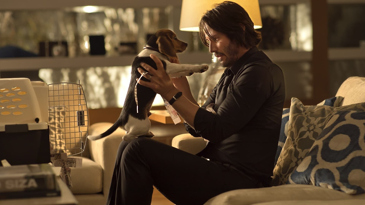 John Wick’ review by zippy • Letterboxd