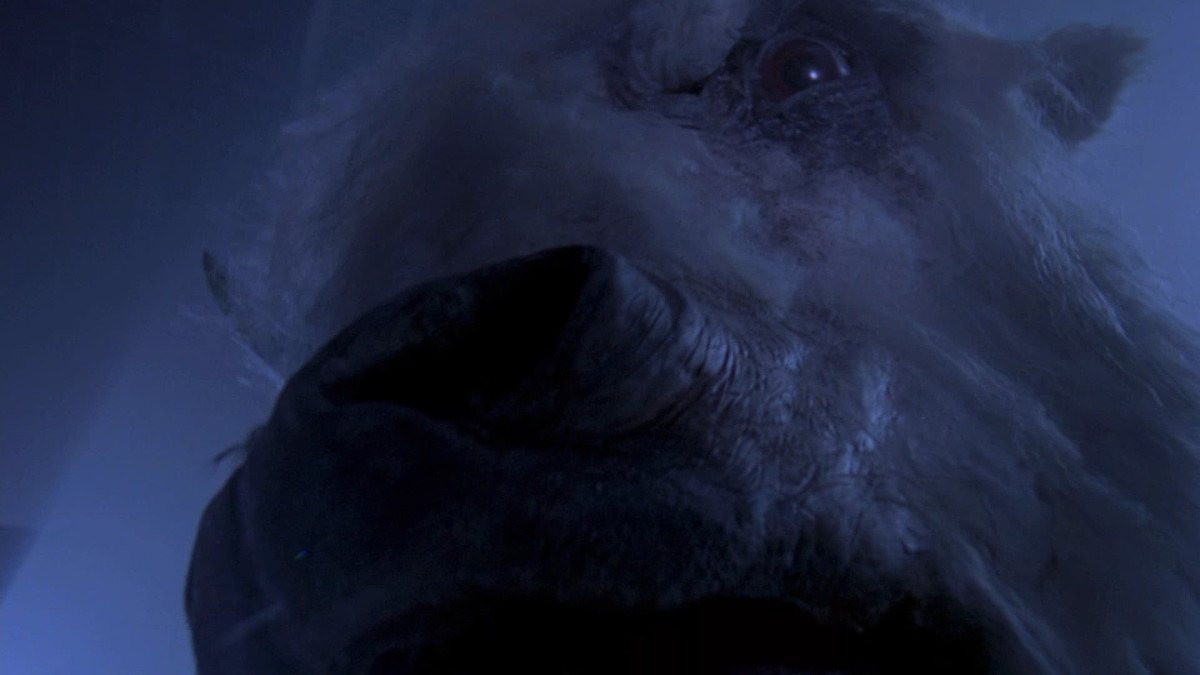 The White Buffalo’ review by TheScottishGuy • Letterboxd