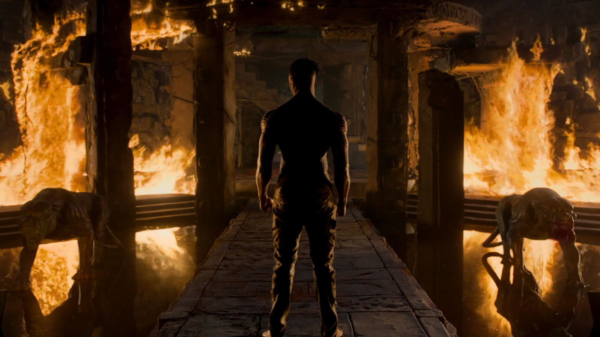Black Panther’ watched by Platinum 🏳️‍⚧️ 🍉 • Letterboxd