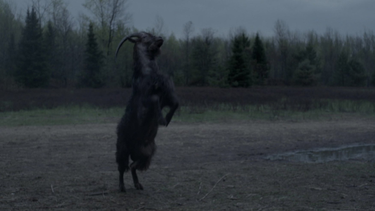 The Witch’ review by Gio • Letterboxd