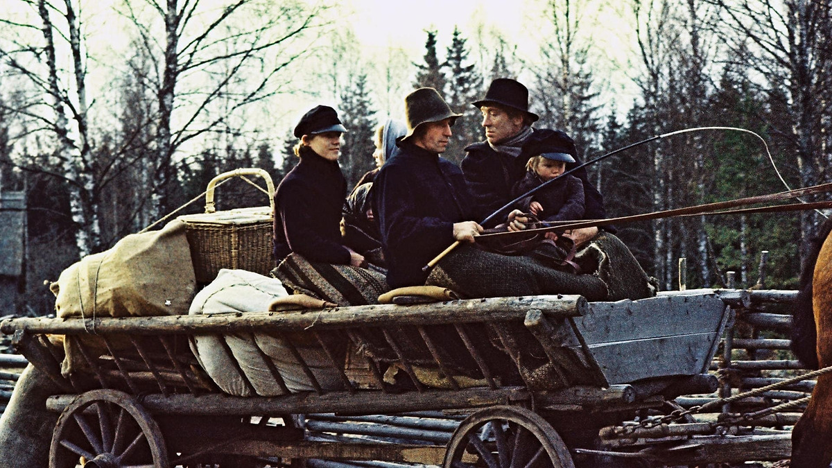 ‎My Favourite Films, a list of films by Ben Worley • Letterboxd