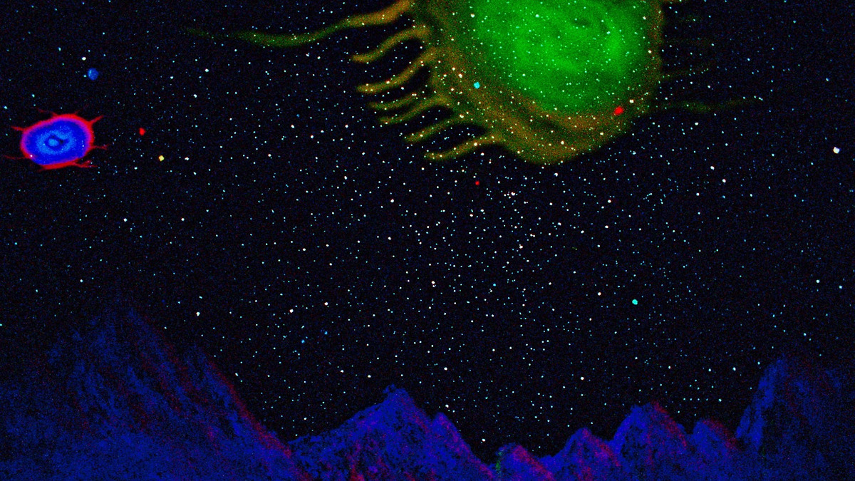 Disembodied’ review by Blake Bergman "Various Spaghetti" • Letterboxd