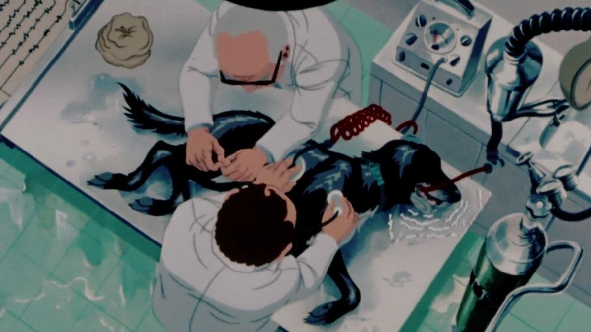 The Plague Dogs’ review by Hayden • Letterboxd