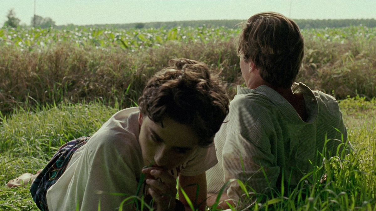 Call Me by Your Name’ review by seyeon • Letterboxd