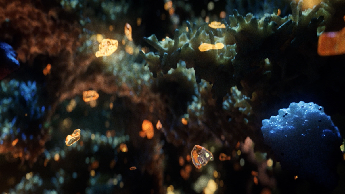 Uncut Gems’ review by Sergio Muñoz Esquer • Letterboxd