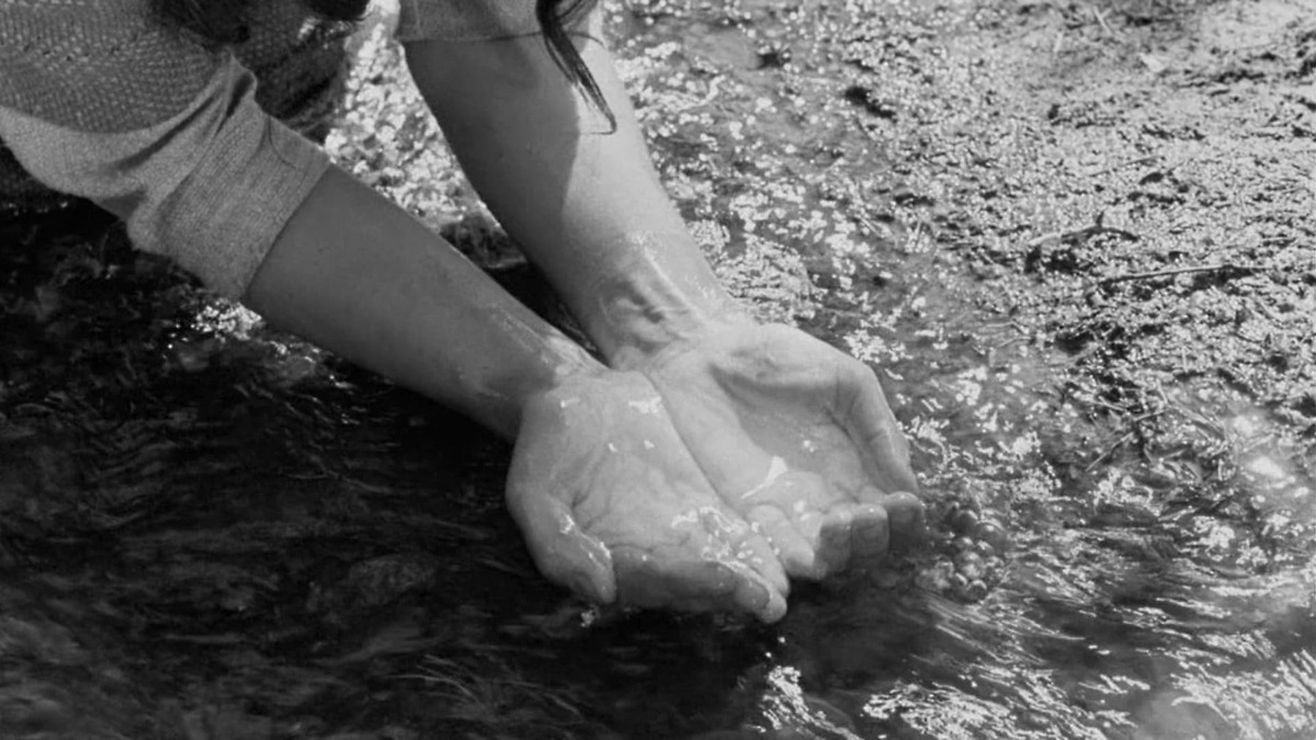 The Virgin Spring’ review by Lucas Walzer • Letterboxd