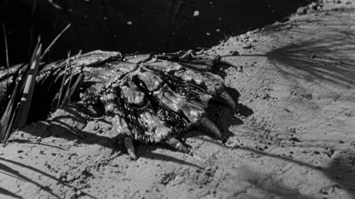 Creature from the Black Lagoon’ review by SuperFanboyMan • Letterboxd