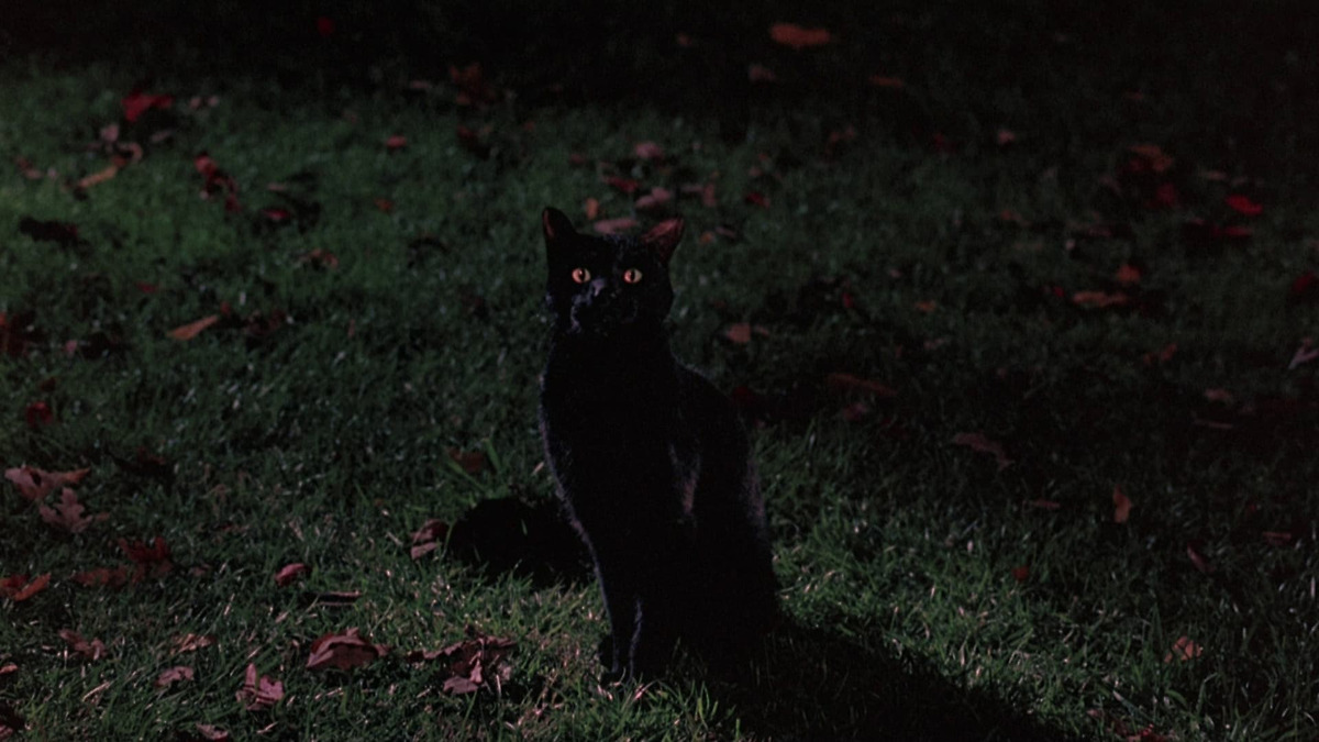 Hocus Pocus’ review by nick • Letterboxd