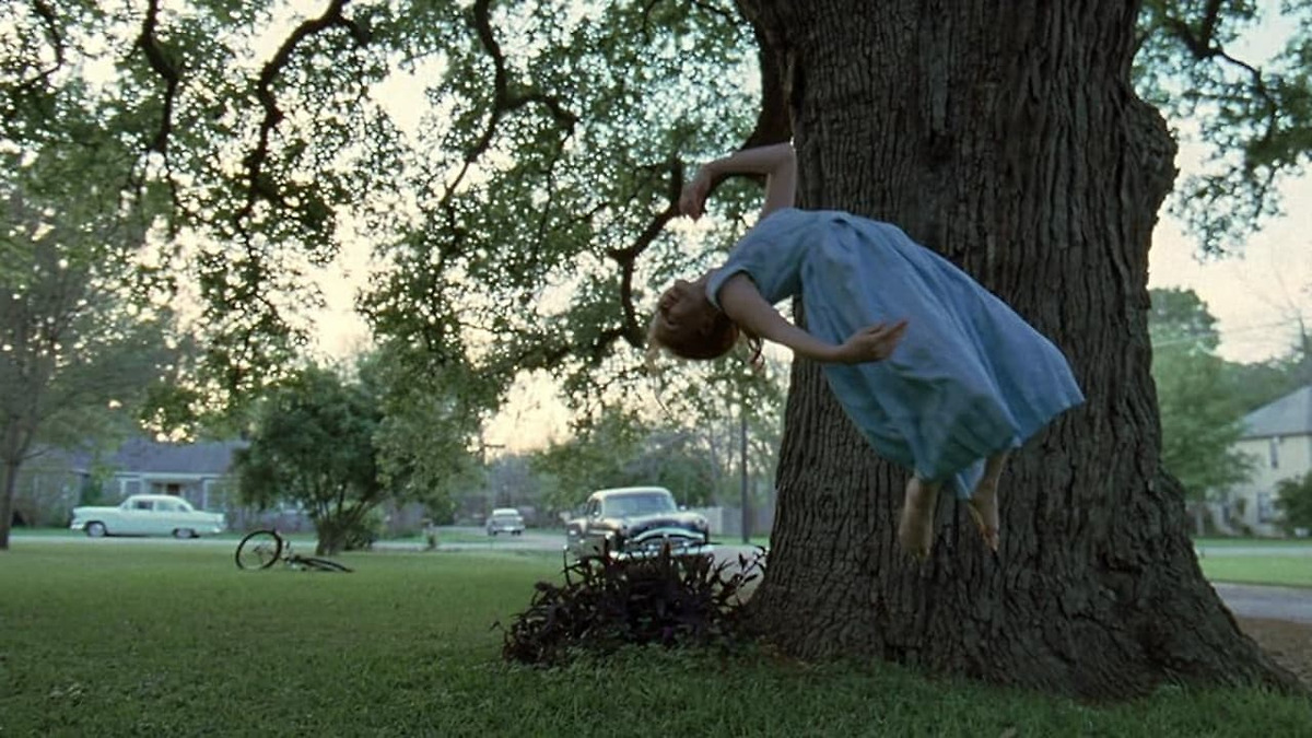 The Tree of Life’ review by Alex • Letterboxd