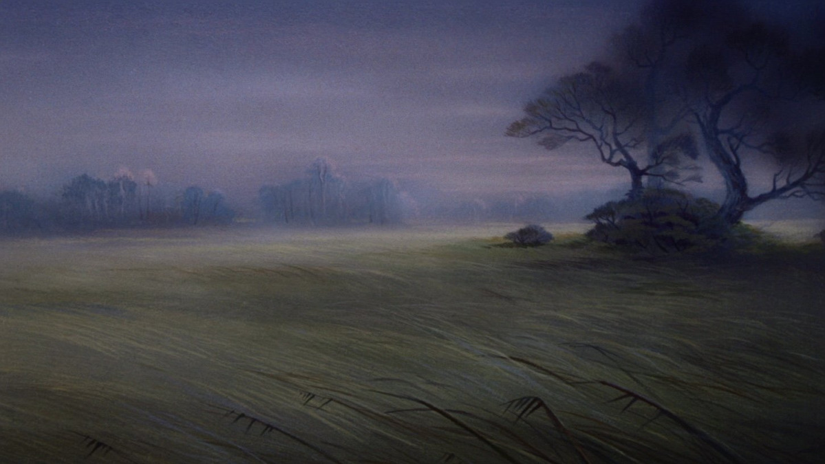 ‎girl failure!, a list of films by nina • Letterboxd