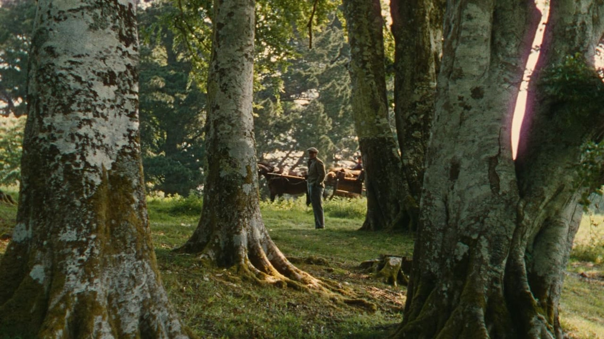 The Quiet Man’ review by Tyler • Letterboxd