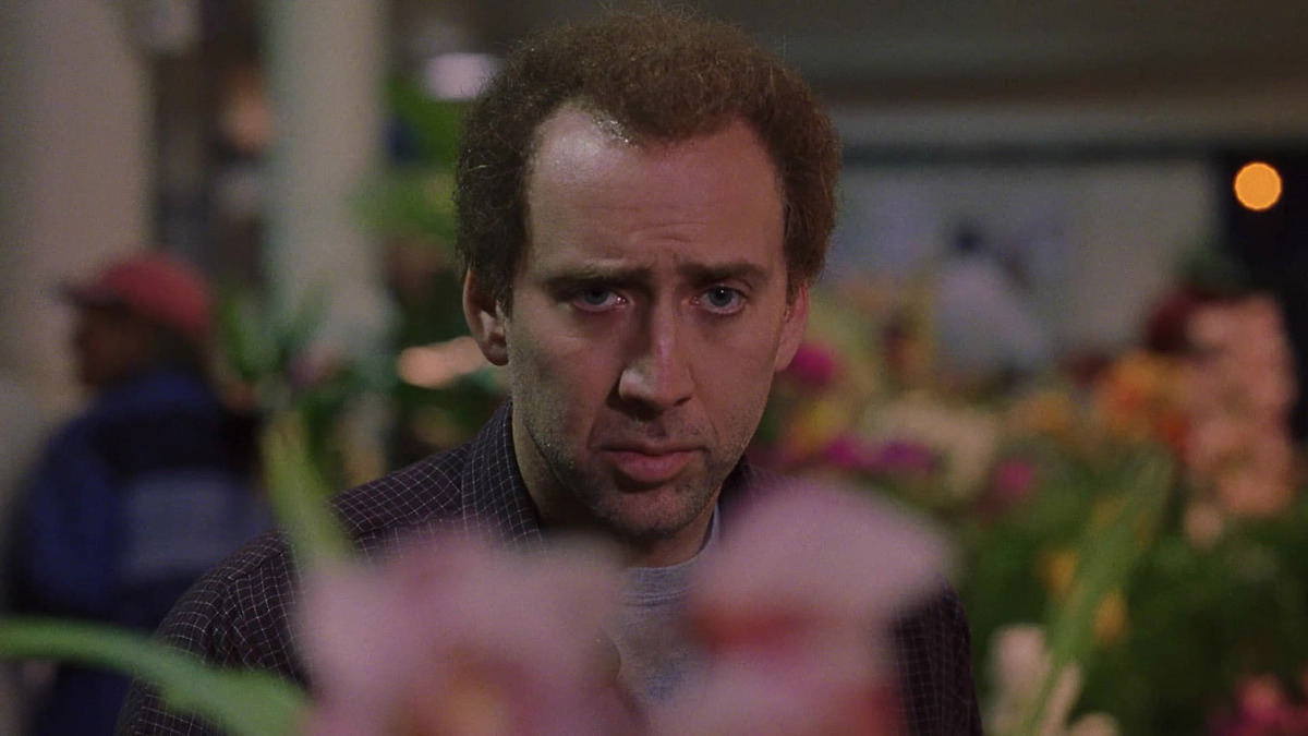 ‎Spike Jonze RANKED, a list of films by izreal777 • Letterboxd