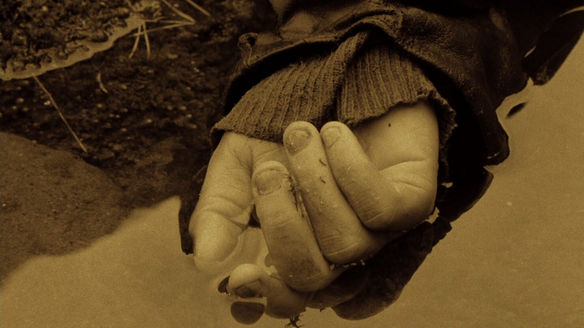 ‎Favorite Directors, a list of films by Jeremy Gilpin • Letterboxd