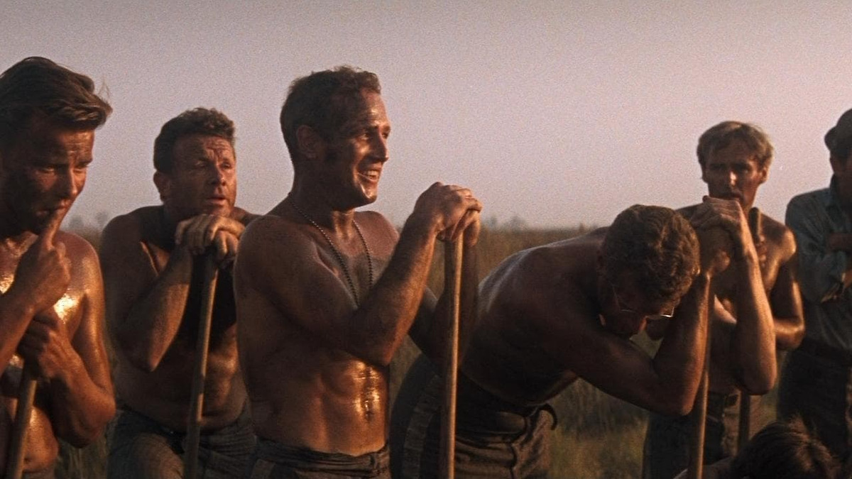 Cool Hand Luke’ review by George Carmi • Letterboxd
