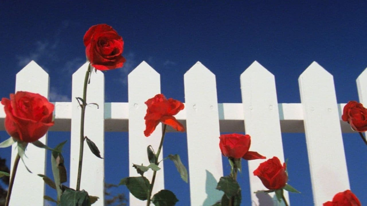 Blue Velvet’ review by Tyler Whitmore • Letterboxd