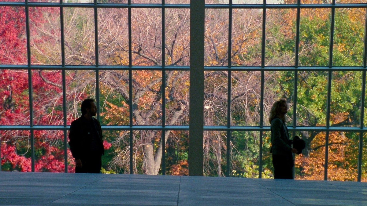 When Harry Met Sally...’ rewatched by Leighton Trent • Letterboxd