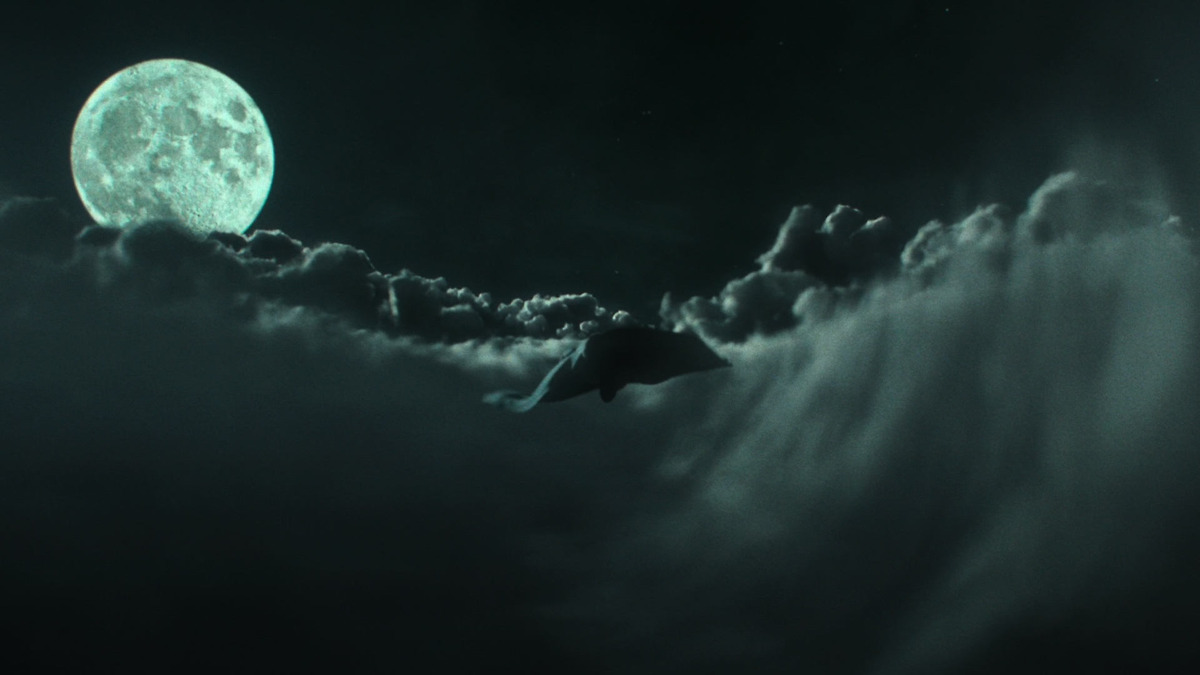 The Matrix Reloaded’ review by Lil Mosquito Disease • Letterboxd