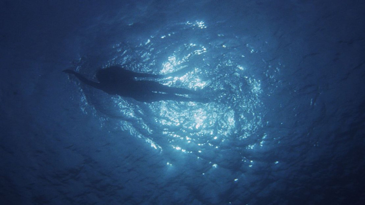 Jaws’ review by Matt Singer • Letterboxd