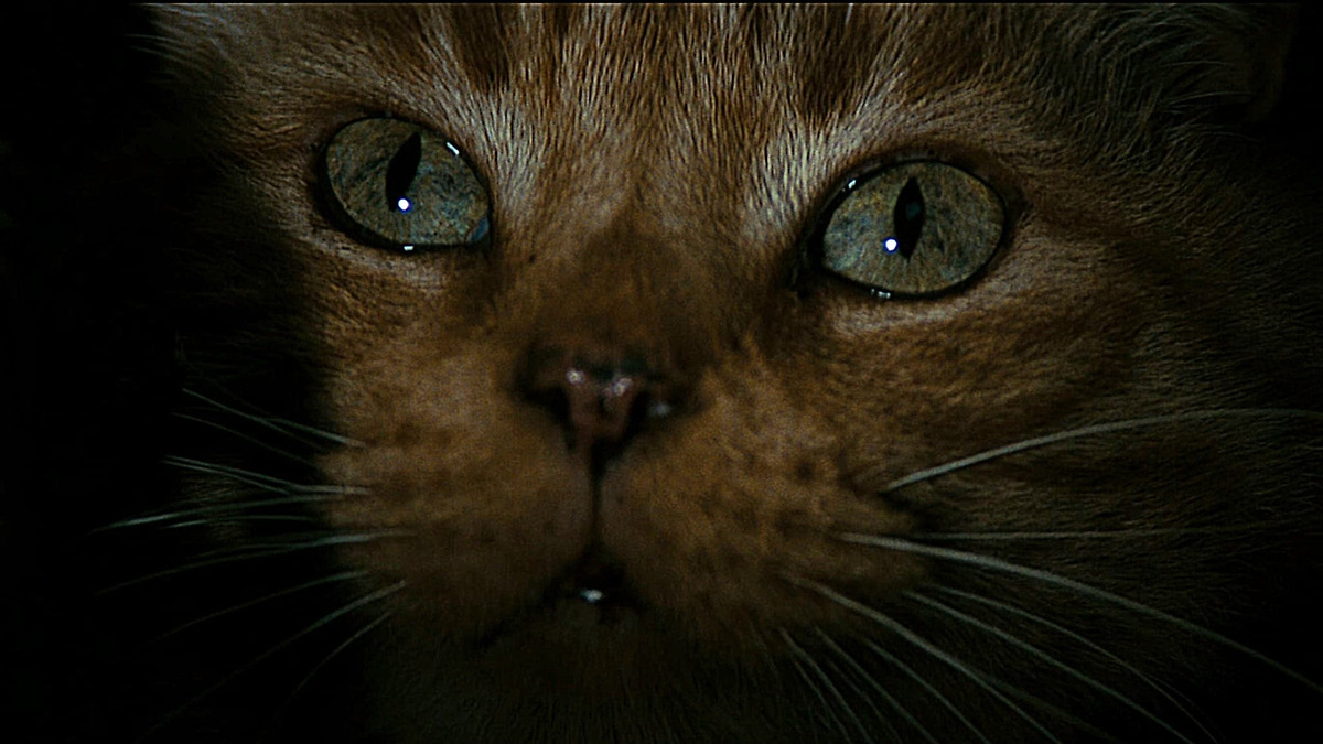 Alien’ review by Jesse Frost • Letterboxd