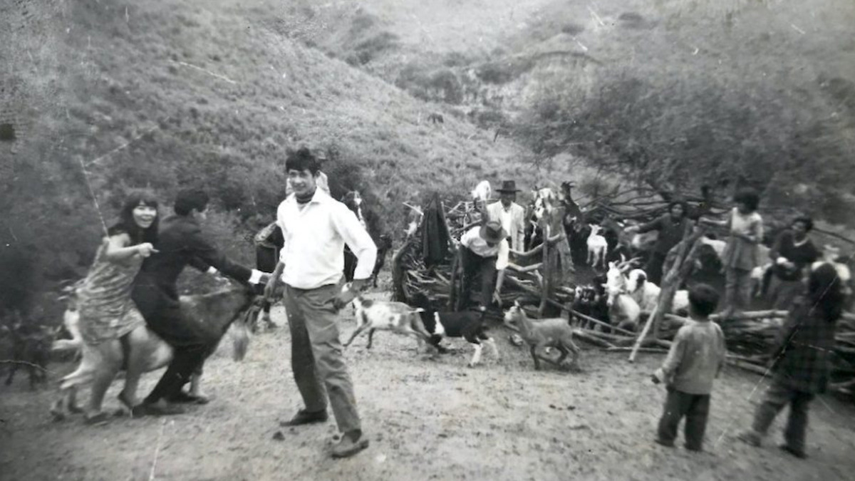 ‎Landmarks (2025) directed by Lucrecia Martel • Reviews, film + cast ...