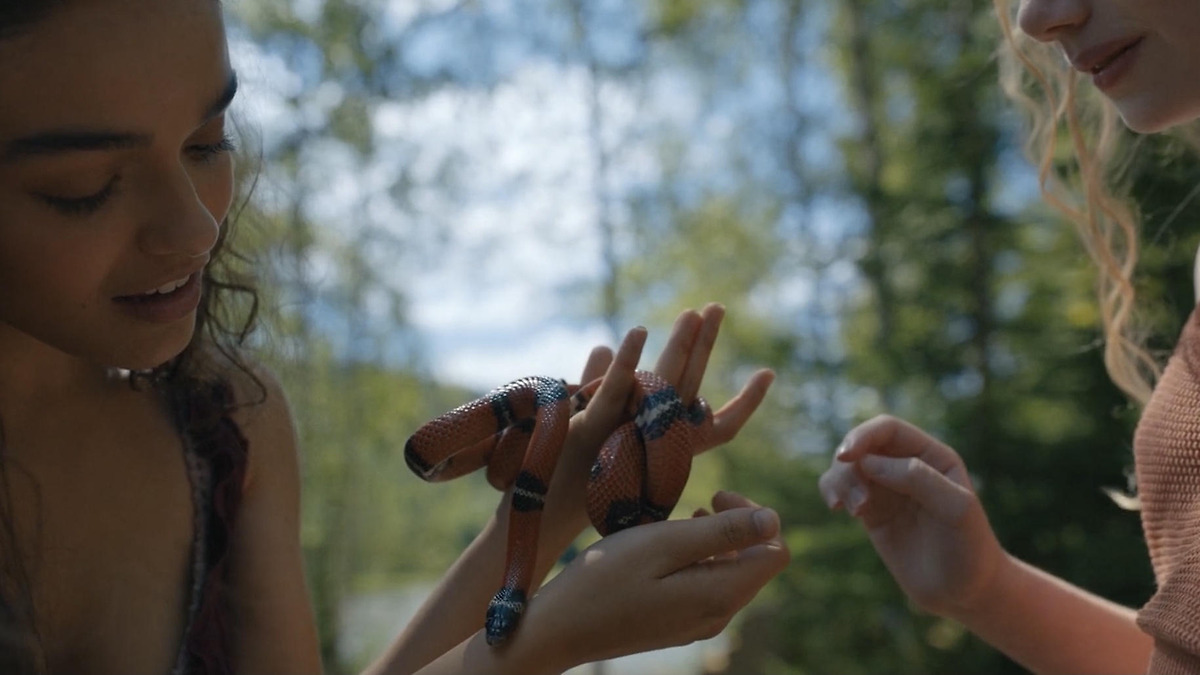 The Hunger Games: The Ballad of Songbirds & Snakes’ review by ...