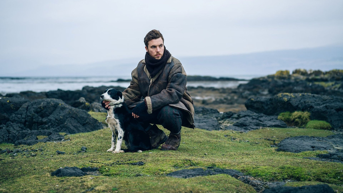 Shepherd’ review by Penny_S • Letterboxd