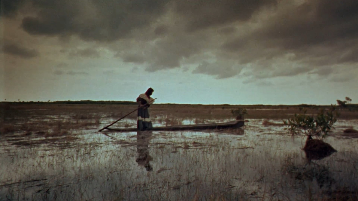 Wind Across the Everglades’ review by Jerry • Letterboxd