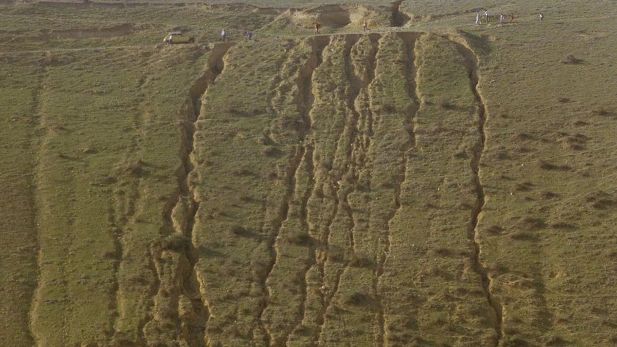 Life, and Nothing More…’ watched by Robert_aper • Letterboxd