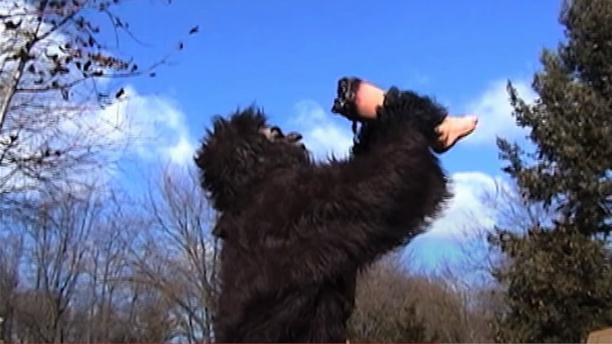 Suburban Sasquatch’ review by ChamBliss • Letterboxd