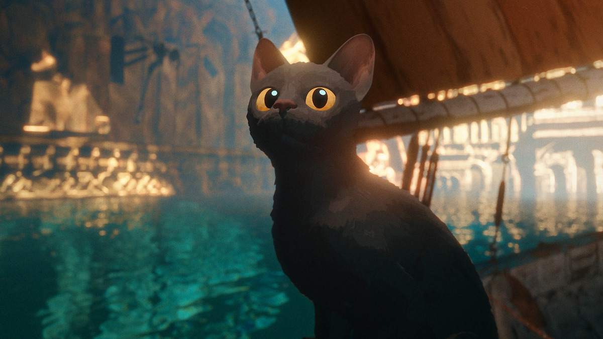 Flow’ review by Sam • Letterboxd