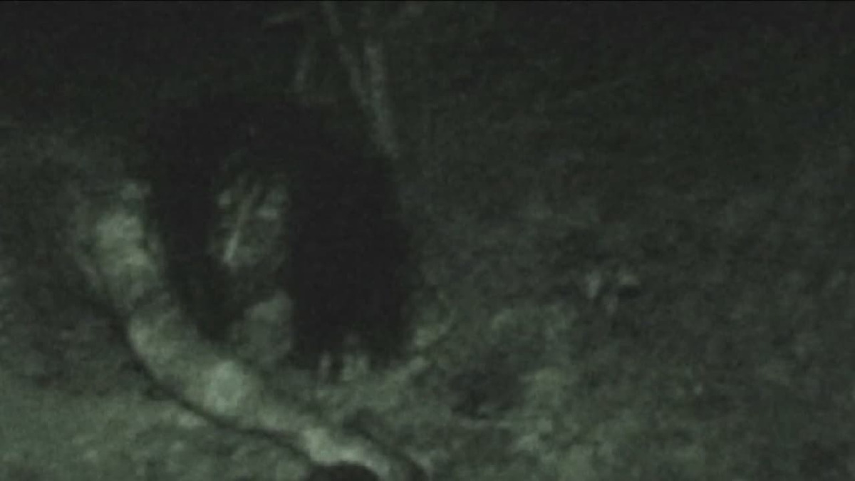 Senritsu Kaiki File Kowasugi! File 03: Legend of a Human-Eating Kappa ...