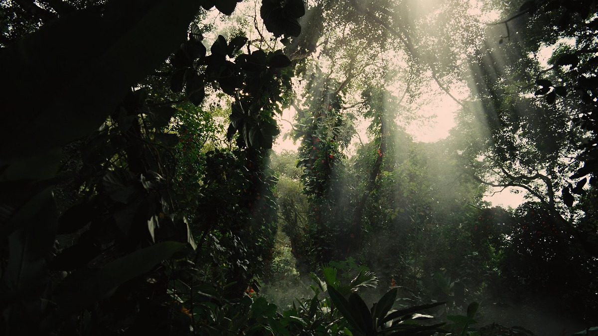 The Hunger Games: Catching Fire’ review by blake .𐚁 ‧₊˚ • Letterboxd